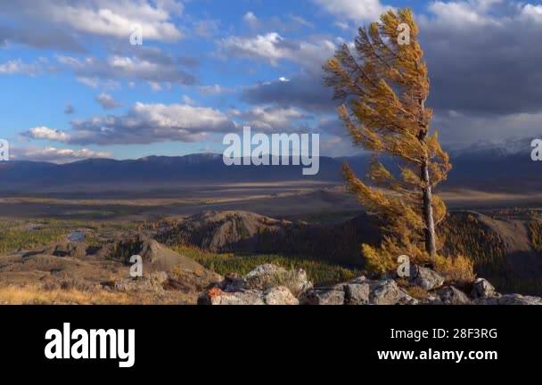 Snowy peaks valley below Stock Videos & Footage - HD and 4K Video Clips ...