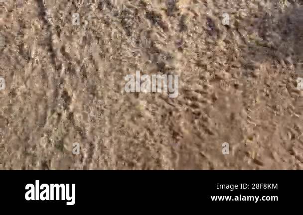 Strong flow of water and mud along a riverbed Stock Video Footage - Alamy
