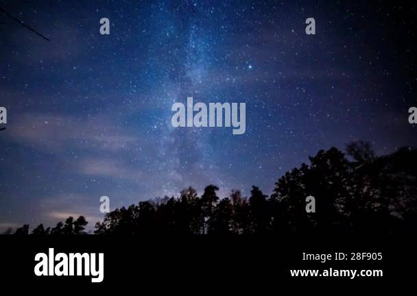 Night time lapse with starry sky and trees. High quality 4k footage ...