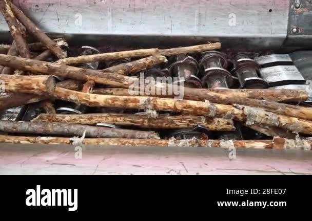 A collection of freshly cut wooden logs of varying sizes placed in a ...