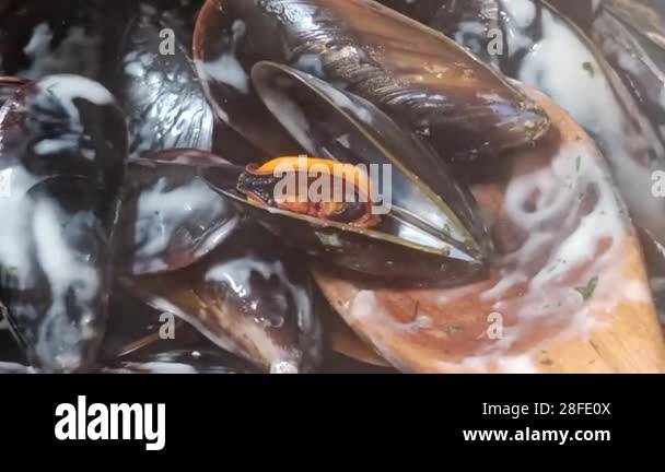 Mussels cooked in cream, close-up Stock Video Footage - Alamy