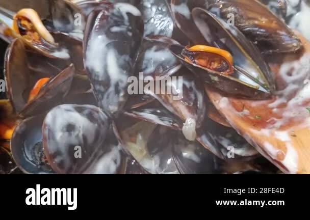 Mussels cooked in cream, close-up Stock Video Footage - Alamy