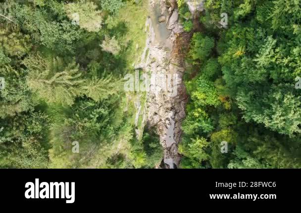 An aerial perspective reveals a forest in Austria, where a rocky stream ...