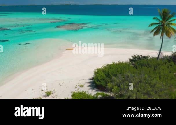 A birds eye view of a pristine white sandy beach lined with lush palm ...