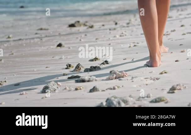 Person walking along sandy beach, feet leaving imprints on soft sand ...
