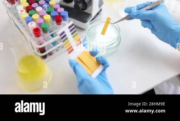 Hands are conducting a chemical test utilizing strips and reagents ...