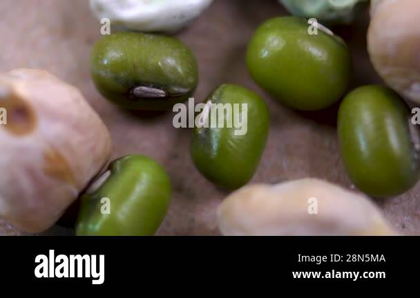 Close-up of assorted organic legumes: green mung beans, chickpeas, and ...