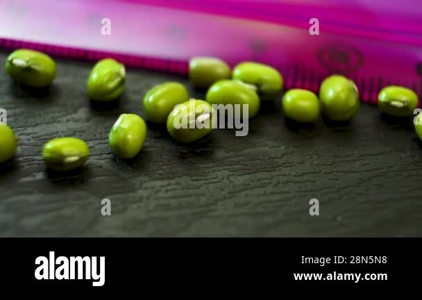 Close up. Mung Bean Size Comparison. Green mung beans next to a ruler ...