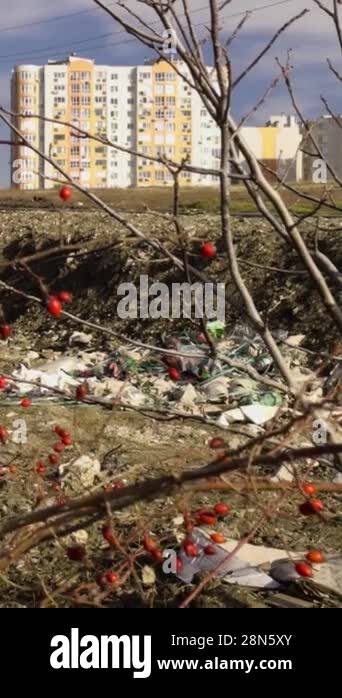 On the outskirts of the city,people throw household garbage into nature ...