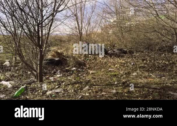 Garbage thrown by people. Plastic bottles thrown in the forest. Rotting ...