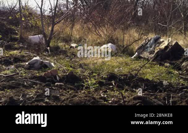 Garbage lies on the ground in the autumn forest. Garbage is thrown into ...