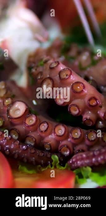 Young chef is cutting octopus in a modern kitchen. The man prepares ...