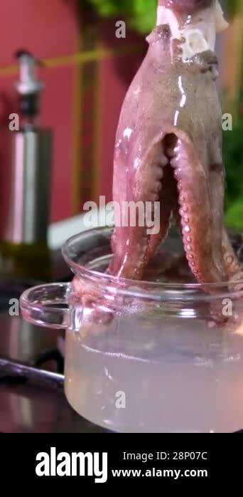 Cooking octopus. Seafood being boiled. Chef taking out big octopus with ...
