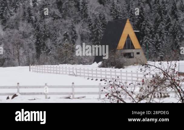 A quaint cottage with a unique roof sits amidst falling snow in winter ...