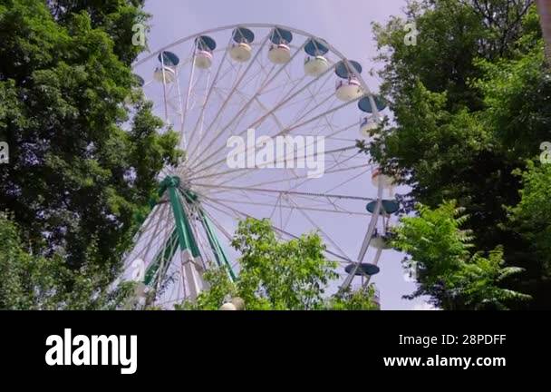 Bright Ferris wheel slowly spinning behind green trees under bright ...