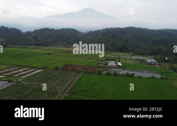 The drone view of Baturaden landscape in Banyumas Regency, Central Java ...