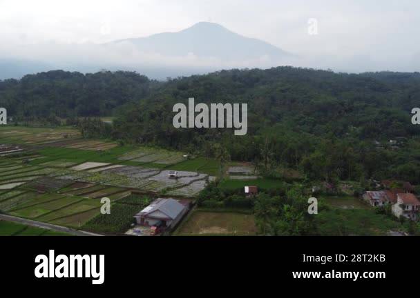 The drone view of Baturaden landscape in Banyumas Regency, Central Java ...