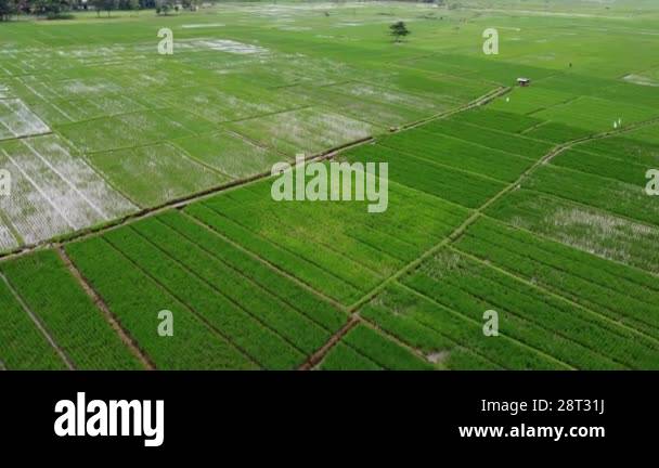 The drone view of Purwokerto cityscape in Banyumas Regency, Central Java, Indonesia. It was ...