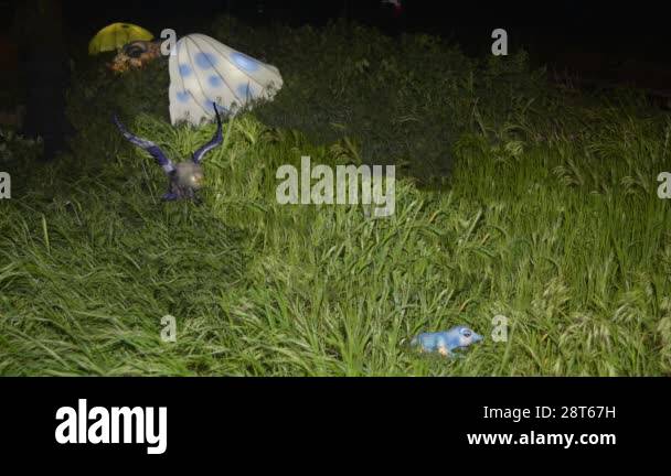 The fabulous eagle saw a moving living creature in the dark. Saw the ...