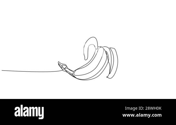 animated continuous single line drawing of partially peeled banana ...