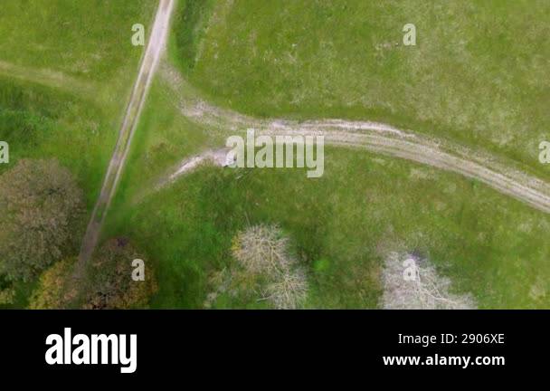 Aerial view of a grassy landscape with intersecting dirt paths ...