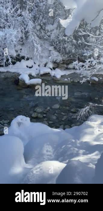Crystal-clear mountain stream flowing swiftly through a snowy winter ...