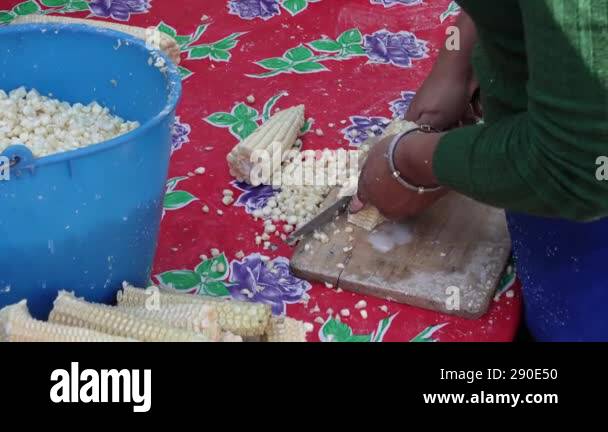 Preparation of fresh corn for traditional dishes in vibrant setting ...
