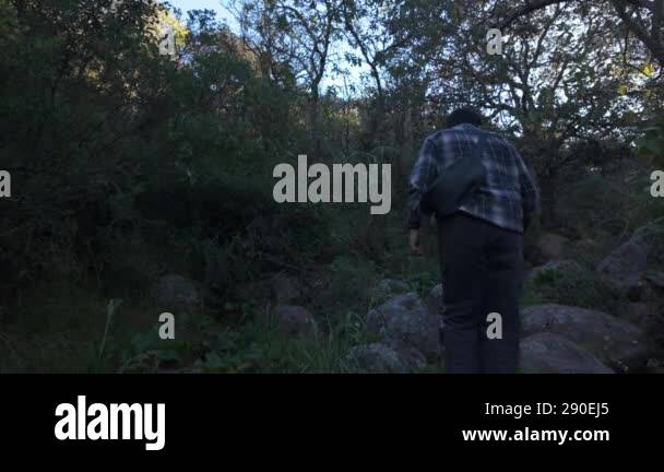 Candid moment in the rural Mexican forest captured during a natural ...