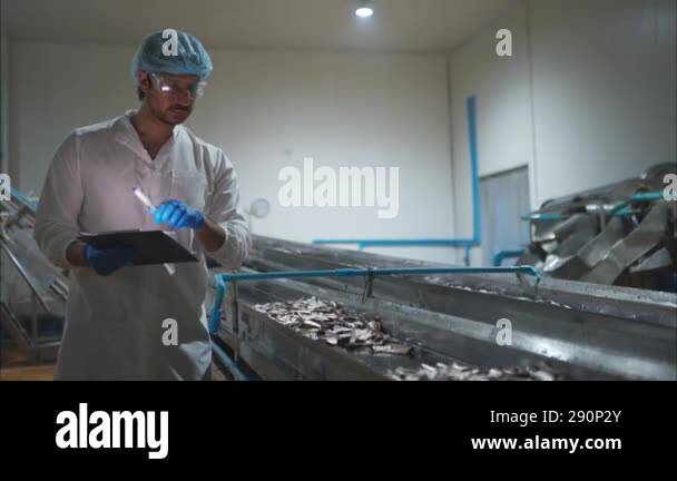Raw material quality inspectors evaluate and inspect fish pieces before ...
