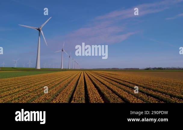 Giant windmill turbines turn gracefully against a bright blue sky ...