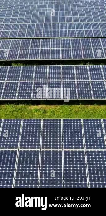 Rows of solar panels stretch across a lush green field in Thailand ...