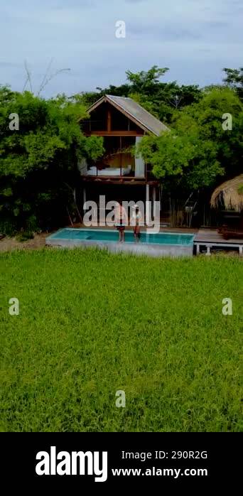 Discover the enchanting beauty of Chiang Mai Thailand, where lush rice ...