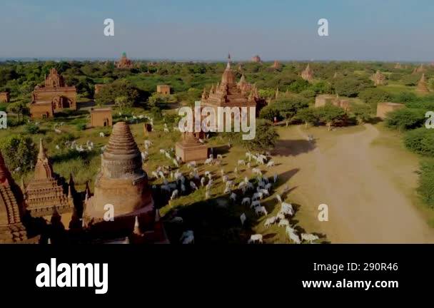 Experience the majestic beauty of Bagan Myanmar as golden hour casts an ...