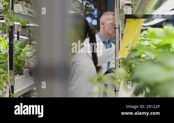 Side view medium shot of young diverse agricultural experts in lab ...