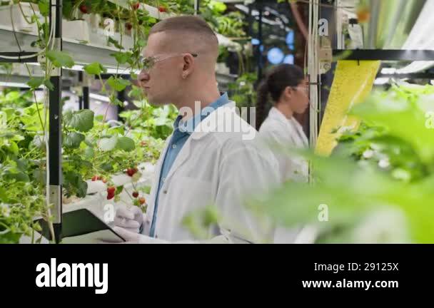 Side view medium shot of young multiethnic vertical farm workers in ...