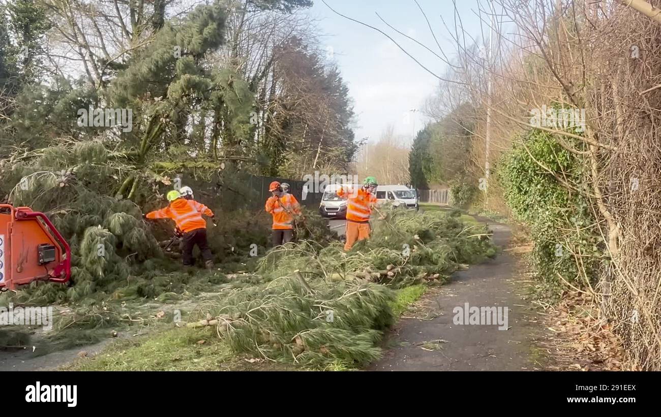 Storm eowyn trees Stock Videos & Footage - HD and 4K Video Clips - Alamy