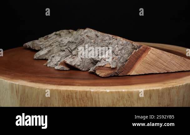 Bark of brown wood cross section macro close up, selective focus. Pine ...