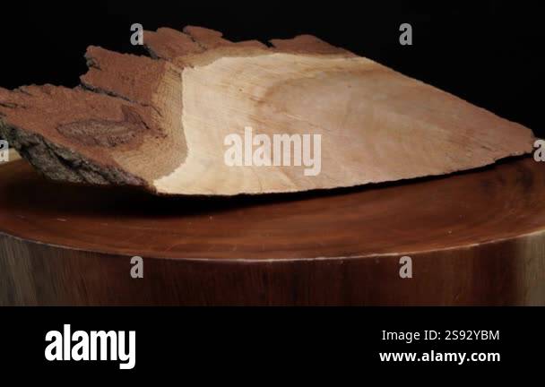 Structure of a stump fibre and bark from a saw cut tree trunk. Plant ...