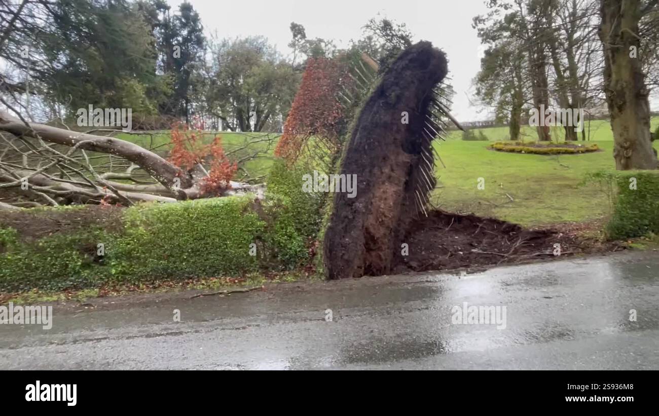 Storm eowyn 2025 Stock Videos & Footage - HD and 4K Video Clips - Alamy