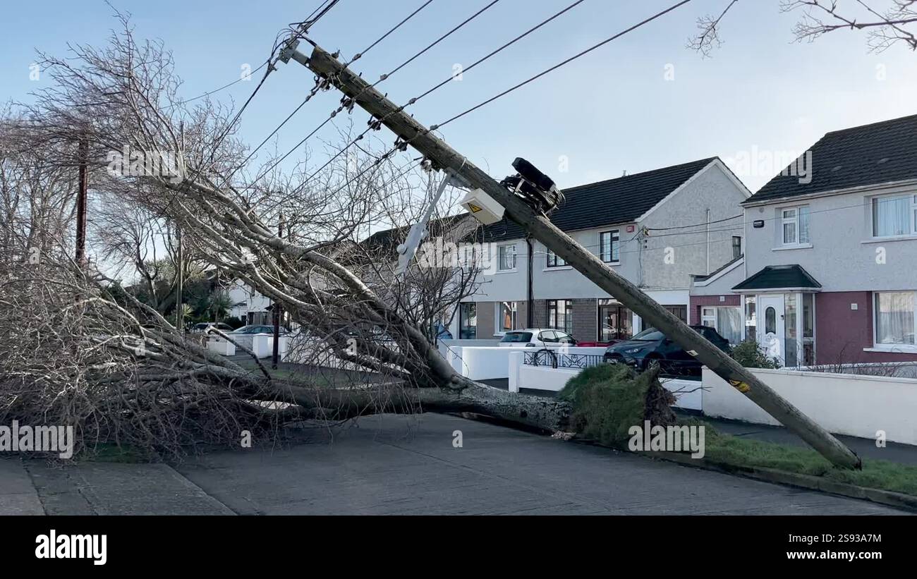 Storm Eowyn: Fallen tree and pole blocks road in Dublin Stock Video ...