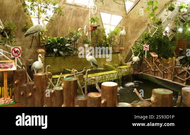 Birds interacting near an indoor waterfall display Stock Video Footage ...