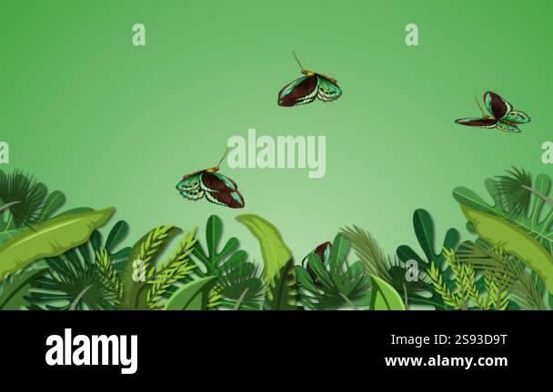 Animated butterflies flying among tropical plants Stock Video Footage ...