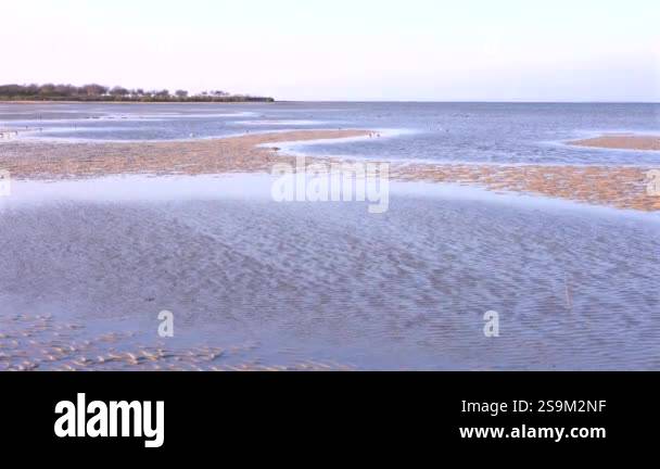 Calm tidal landscape features soft beige sands, glistening silver ...