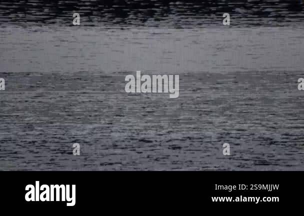 A nostalgic old-school VHS playback, featuring static interference ...
