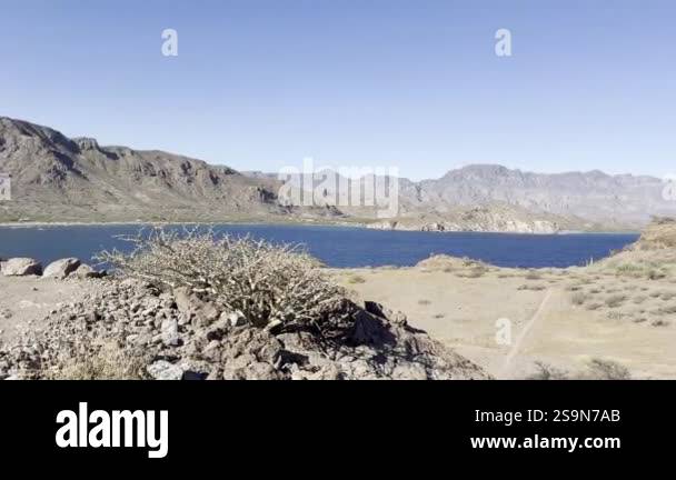 Gulf of cortez Stock Videos & Footage - HD and 4K Video Clips - Alamy