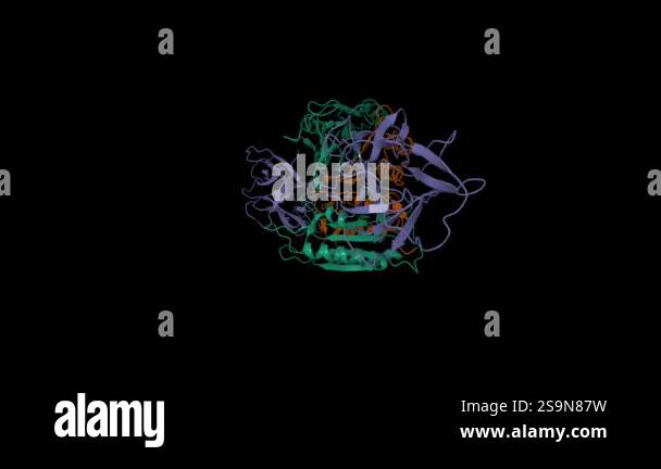Caspase-1 complex with interleukin-18 (violet). Animated 3D cartoon and ...