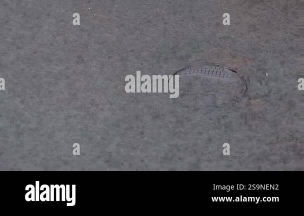 Overflowing manhole cover Stock Videos & Footage - HD and 4K Video ...