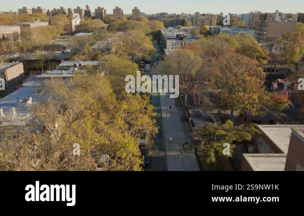Urban landscape revealing Queens street lined with golden leaved trees ...