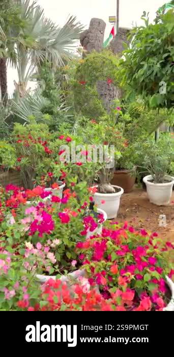 Expanding plants Stock Videos & Footage - HD and 4K Video Clips - Alamy