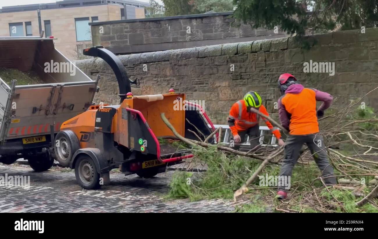 Workers clear up fallen tree in Edinburgh after Storm Eowyn wreaked ...